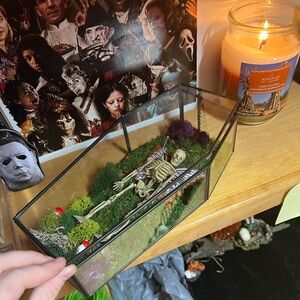 Holiday | Halloween Skeleton Fairy Coffin Terrarium | Poshmark